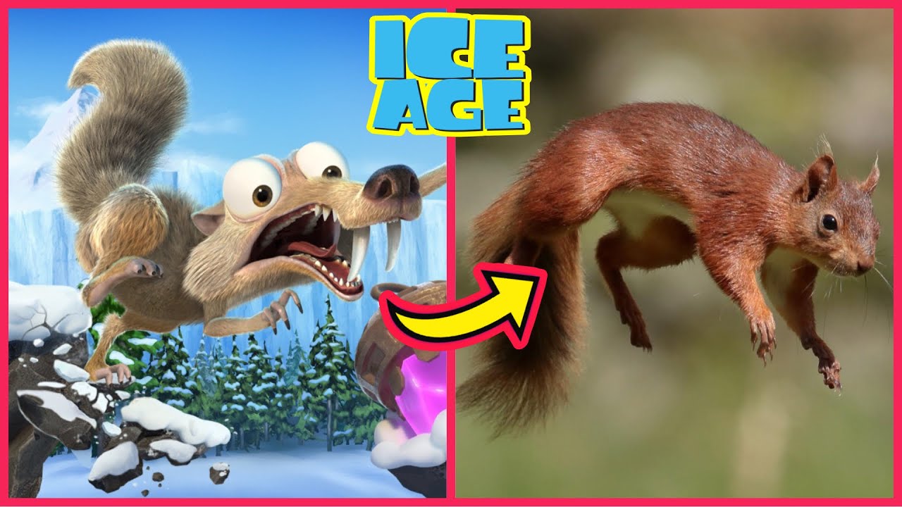 Ice Age IN REAL LIFE - YouTube