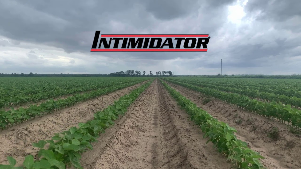 Intimidator Herbicide performance @NutrienAgSolutions Mid-South - YouTube