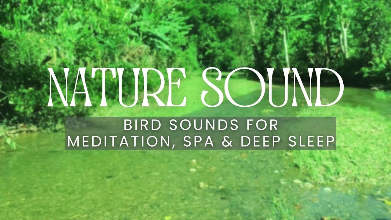 Relaxing Nature Sounds - Music with Water Sounds for Sleep, Meditation ...