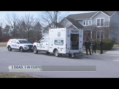 One dead, one arrested after Pickerington shooting
