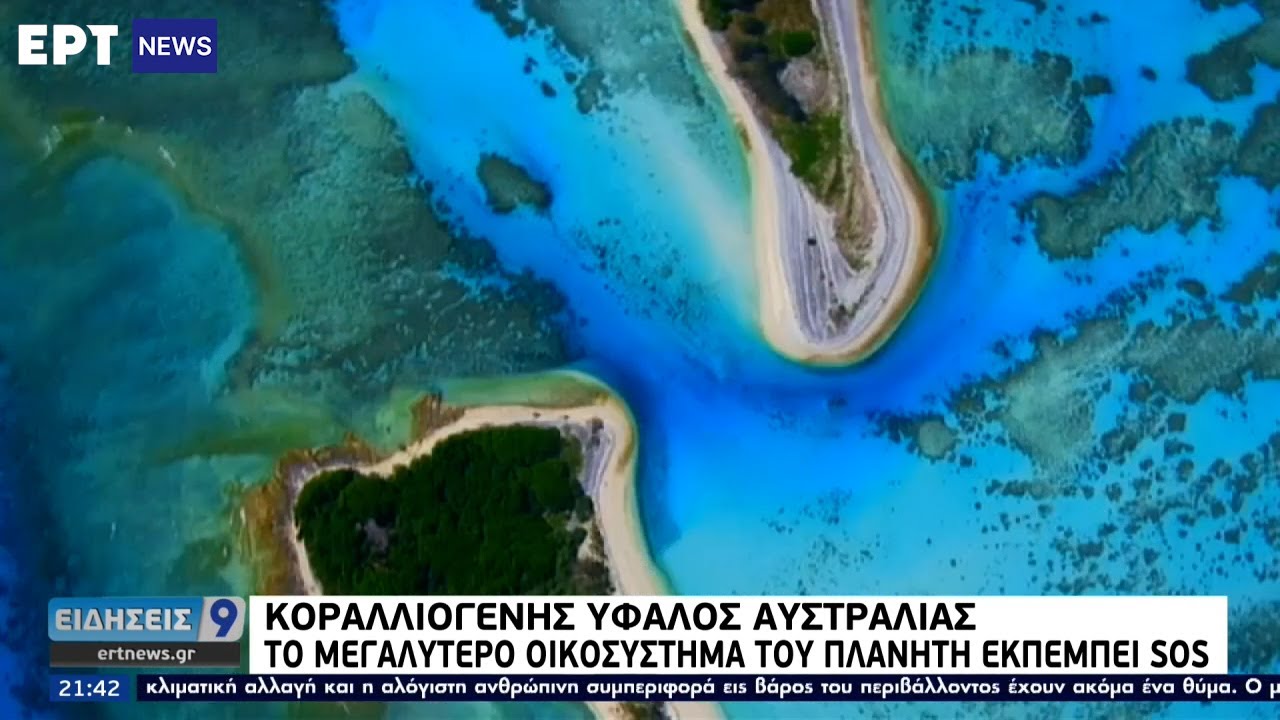 Αυστραλία: Το μεγαλύτερο οικοσύστημα του πλανήτη εκπέμπει SOS - YouTube