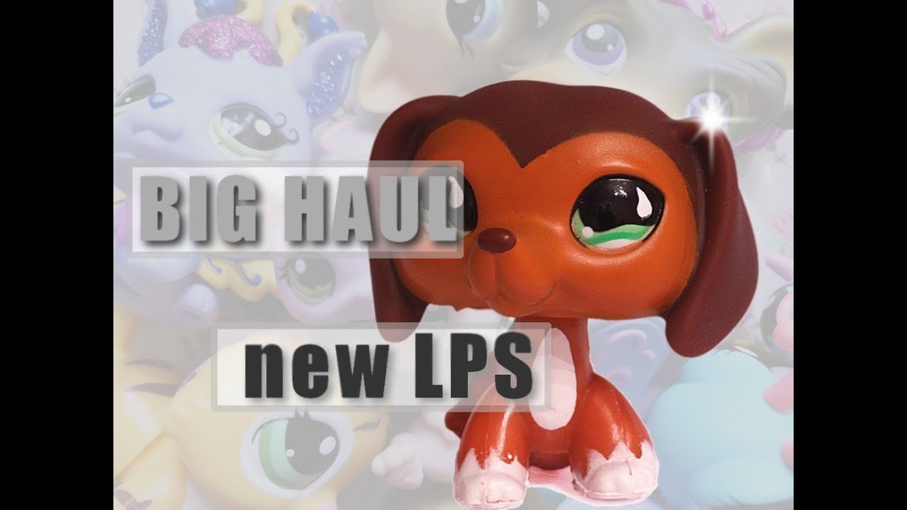 #6 HAUL new lps - YouTube