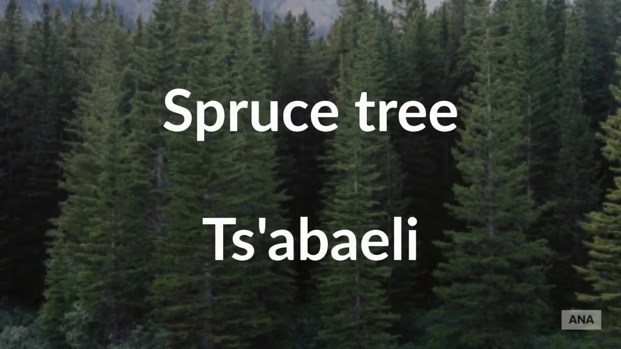 Fishwheel words in Ahtna - YouTube