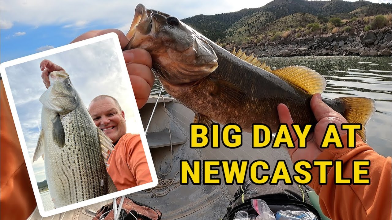 Bass Fishing at Newcastle Reservoir Utah - Sept 2023 - YouTube