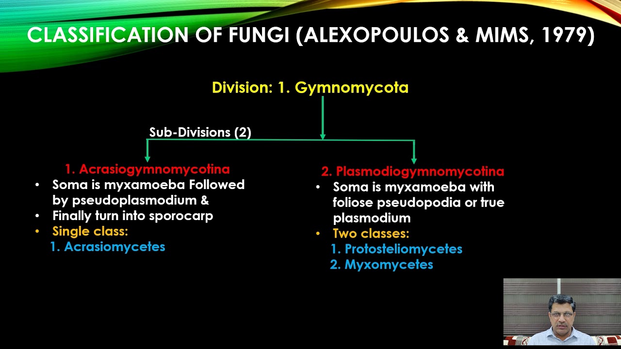 Classification of Fungi (Alexopoulos & Mims) - YouTube