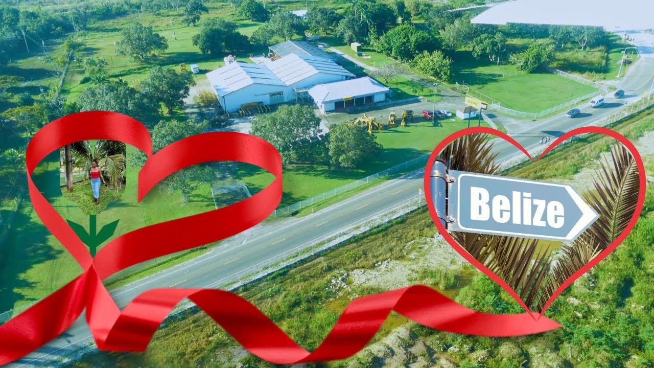 Home Run 🇧🇿 - YouTube