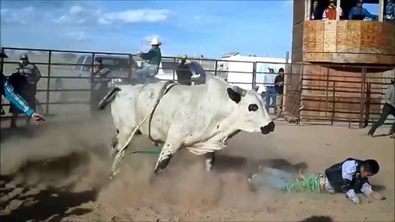 Down and Dirty Bull Riding Challenge - YouTube