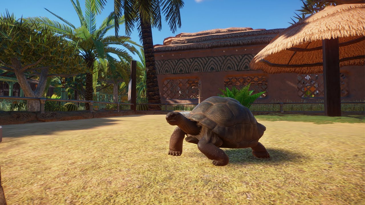 🐢Aldabra Giant Tortoise Habitat | Ariandia Zoo | Planet Zoo ...