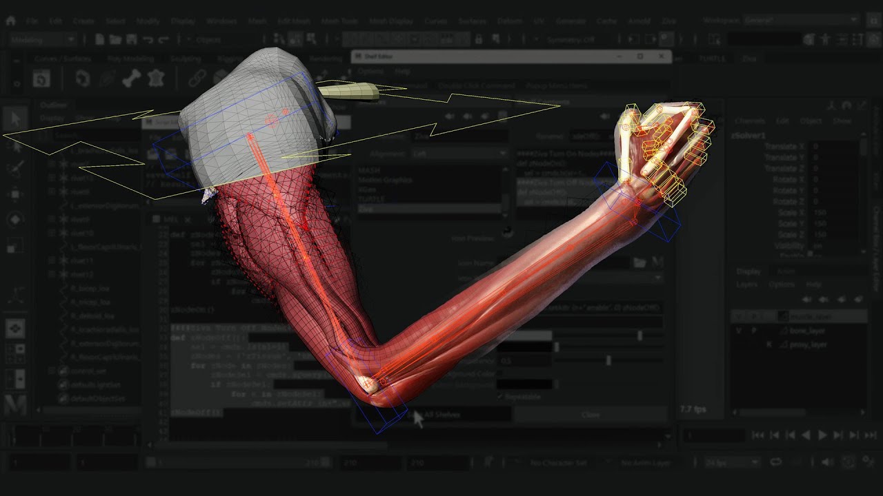 Introduction to Ziva VFX: Volume 1 With Madhav Shyam - YouTube