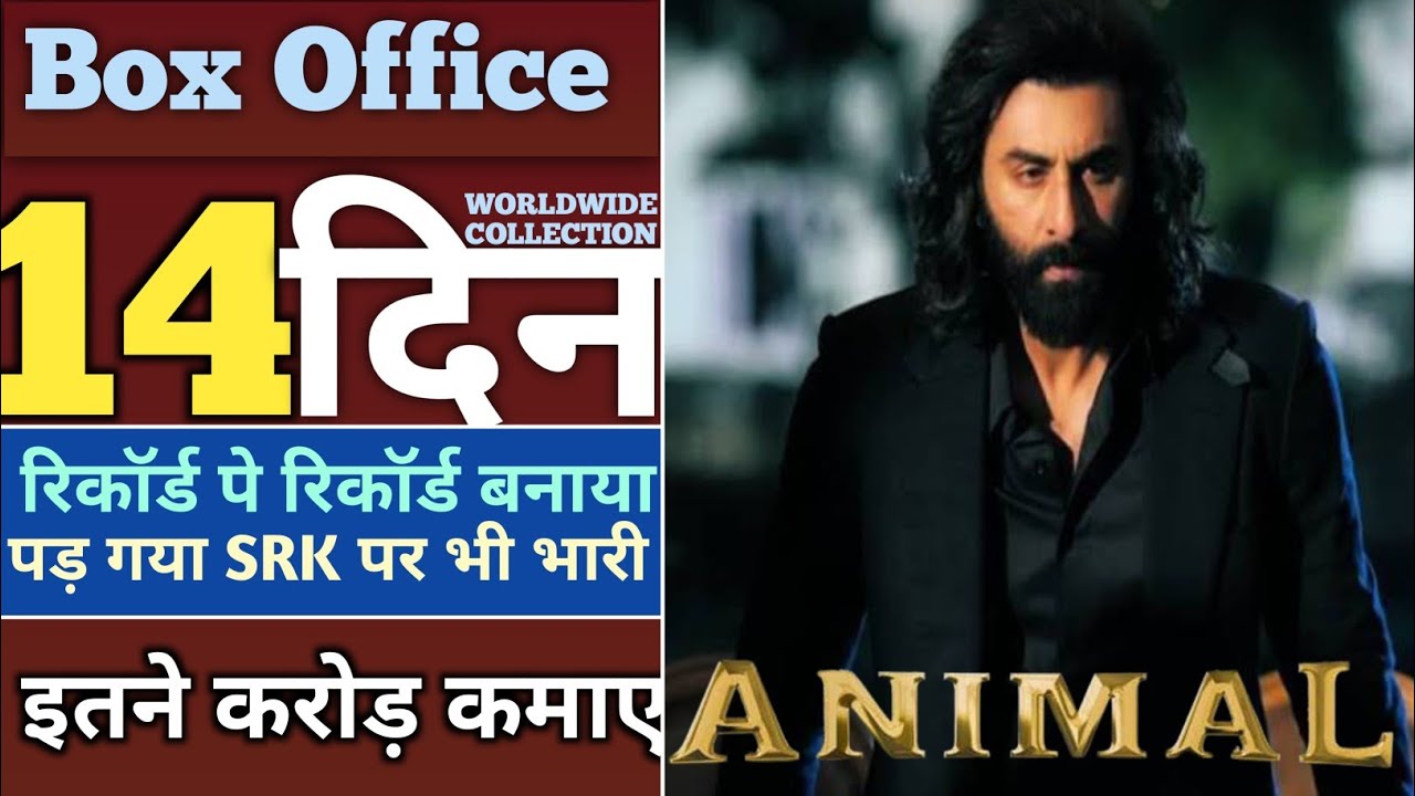 Animal Movie Box Office Collection Worldwide | Animal Box Office ...