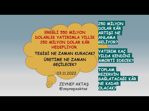 EREĞLİ 550 MİLYON DOLARLIK YATIRIMLA YILLIK 250 MİLYON DOLAR KÂR HEDEFLİYOR