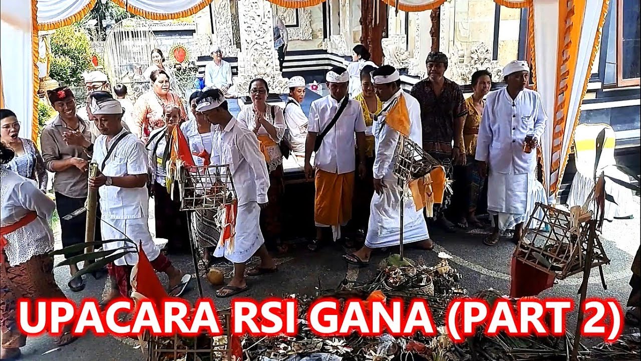MENGENAL LEBIH DEKAT TENTANG UPACARA RSI GANA DI BALI - YouTube