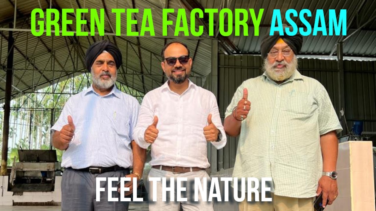 Green tea factory mein kaise banta hai | mini green tea factory ...