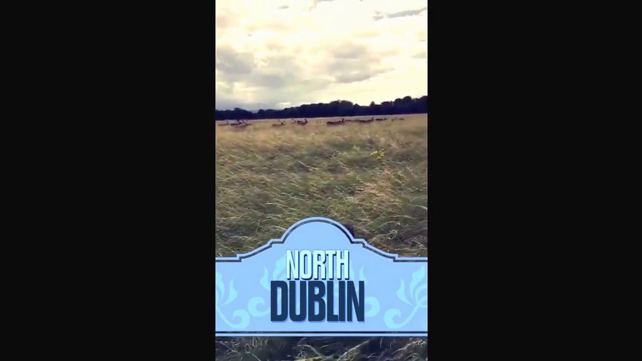 Dublin Nature - YouTube