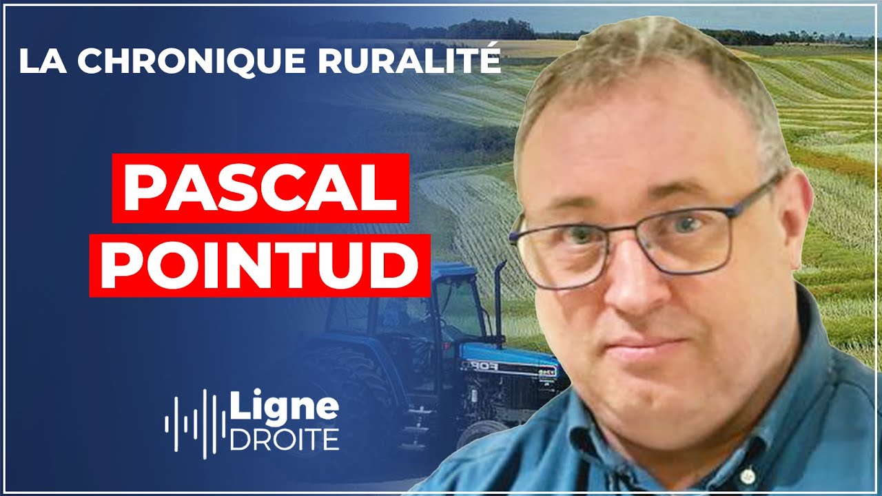 "Macron et Attal se sont employés à mentir aux paysans !" - Pascal Pointud - YouTube