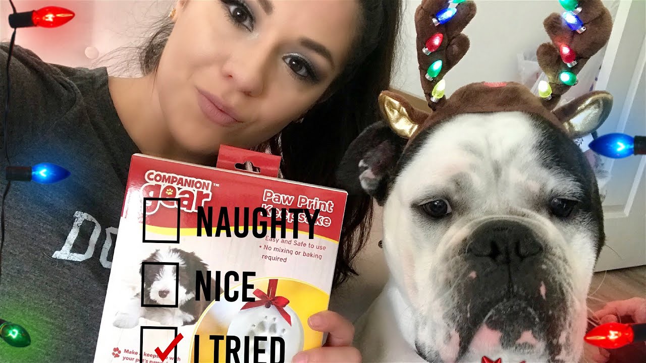 Tyson's 1st Ornament | VLOGMAS DAY 1 - YouTube