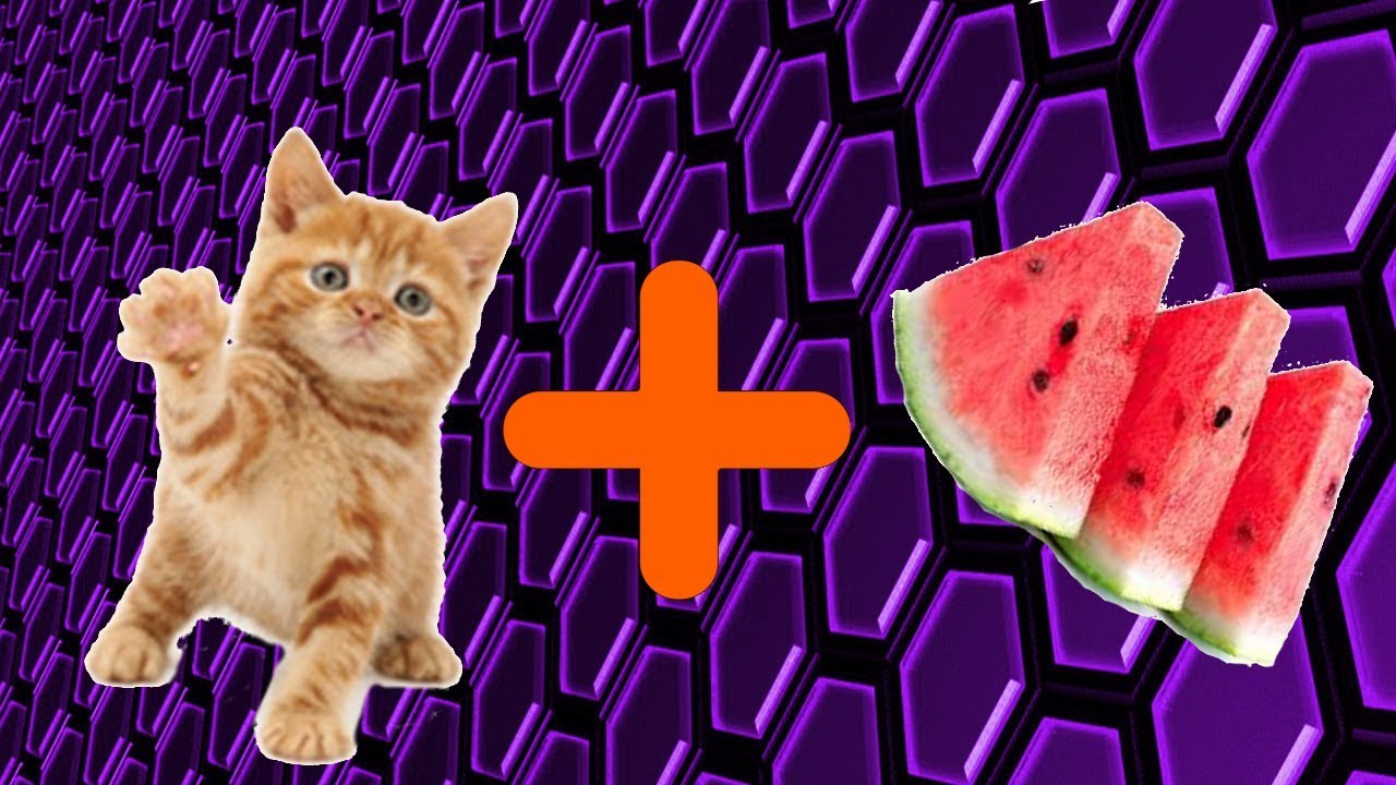 Can I Combine It?!?! | Catermelon Edition - YouTube