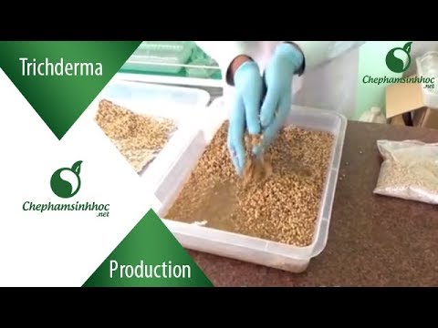 Trichoderma Production - YouTube