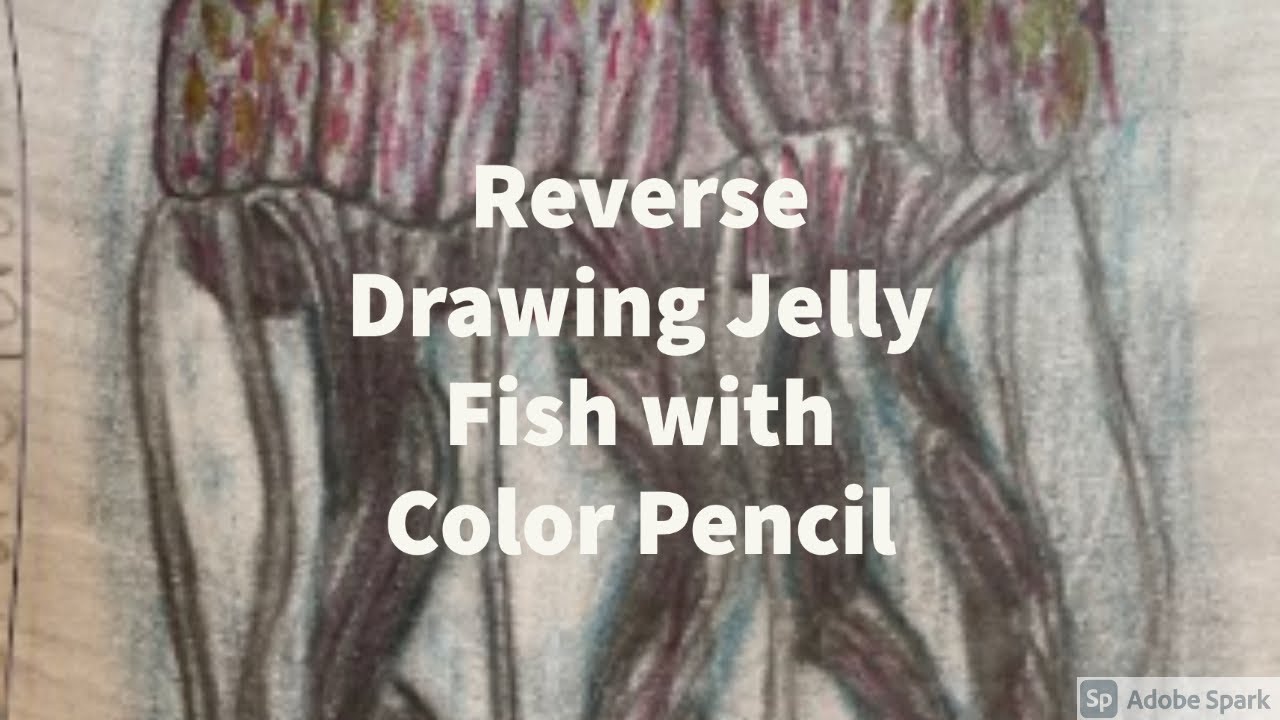 Practice Reverse Drawing Jelly Fish Drawing with Color Pencil - YouTube