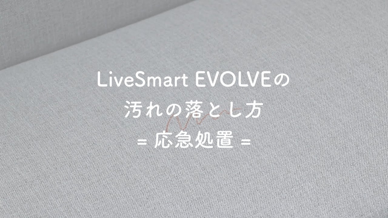 LiveSmart EVOLVE の魅力 #5 】メンテナンス編 - YouTube