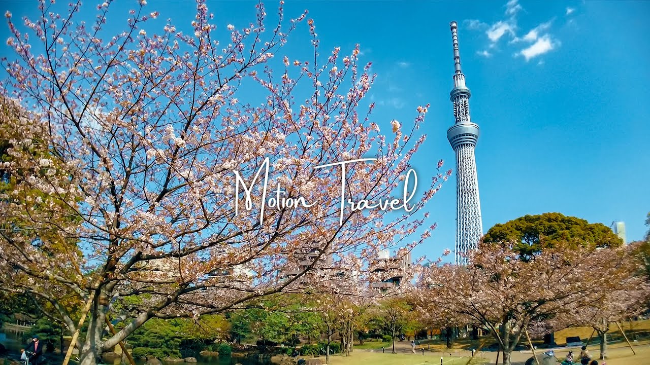 🇯🇵🌸Walking Tokyo | Sumida Park and Sumida River - YouTube