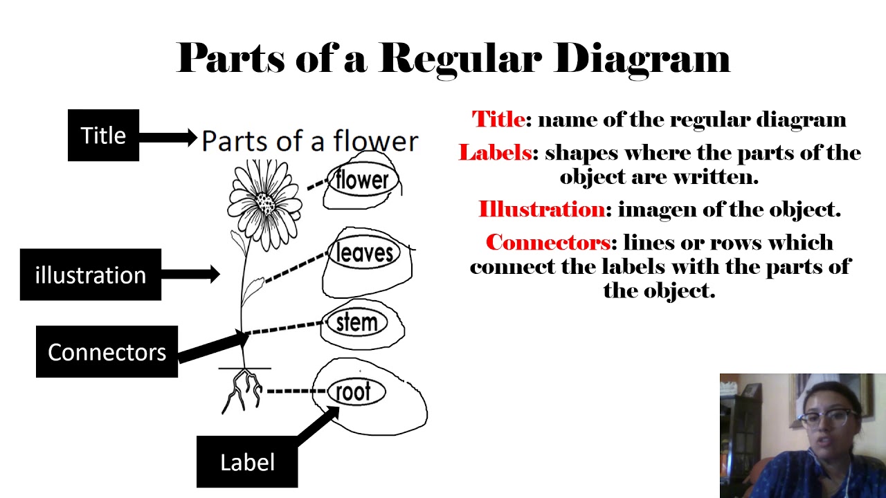 actividad 10 regular diagrams - YouTube