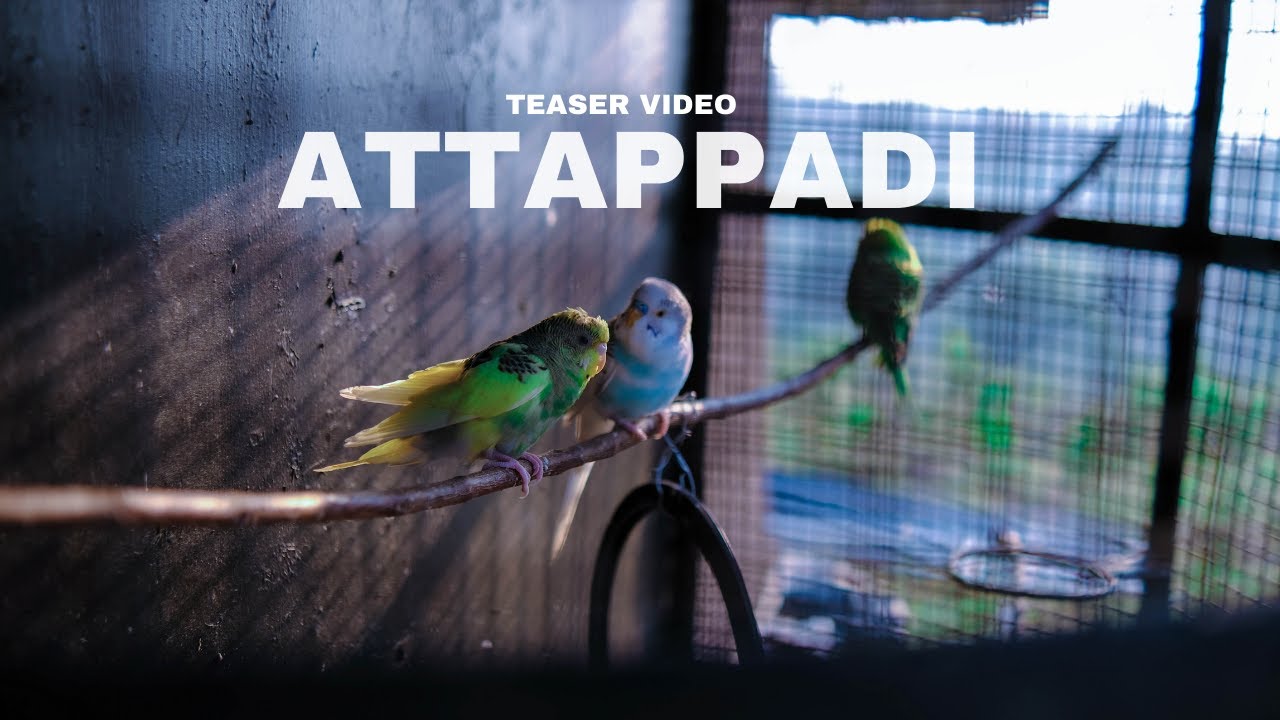 Exploring Attappadi | Teaser | Cinematic Video | Kerala - YouTube