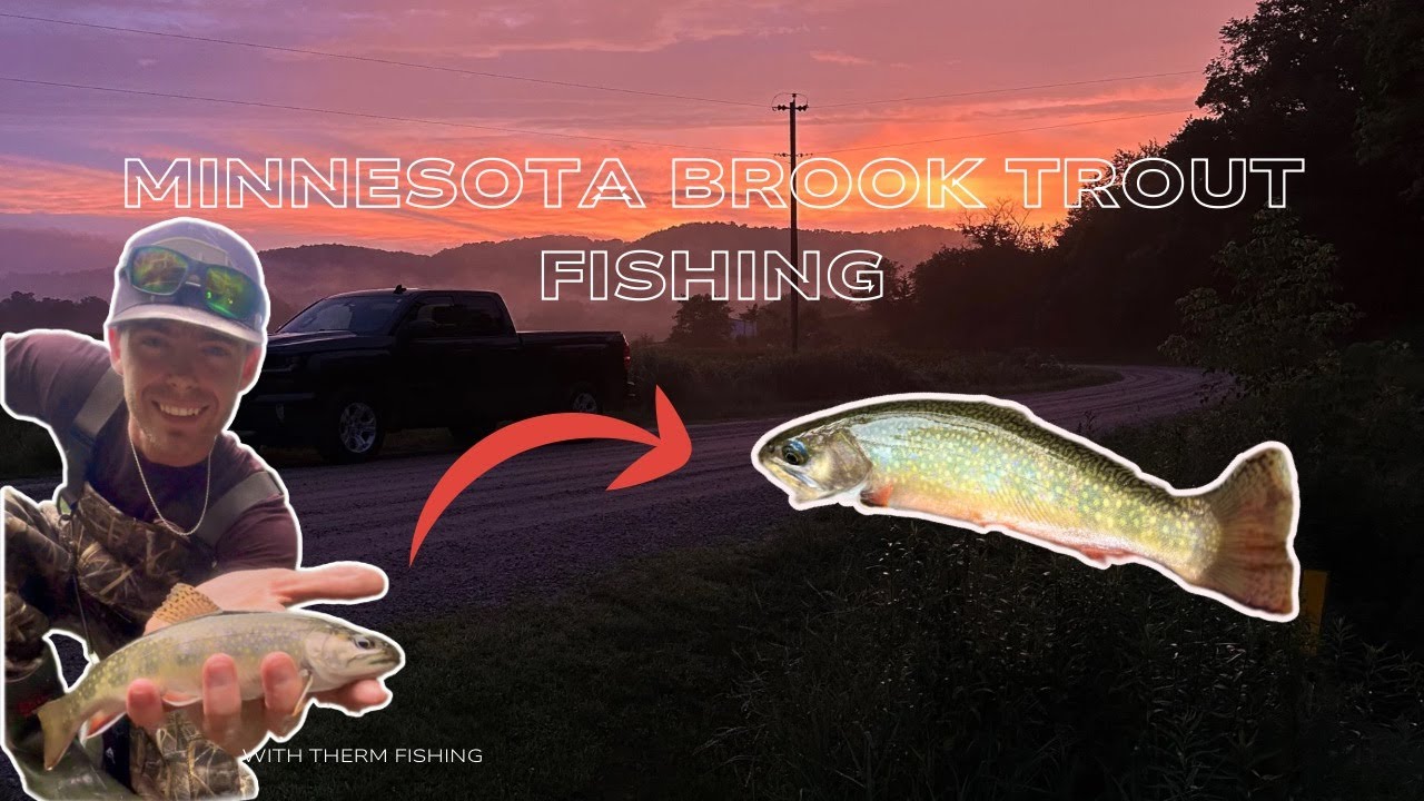 Minnesota Brook Trout Fishing - YouTube