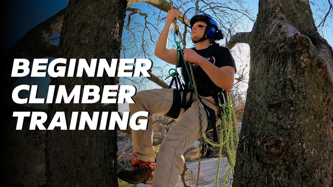 Tree Climbing 101: A Beginner's Guide to the Basic Fundamentals - YouTube