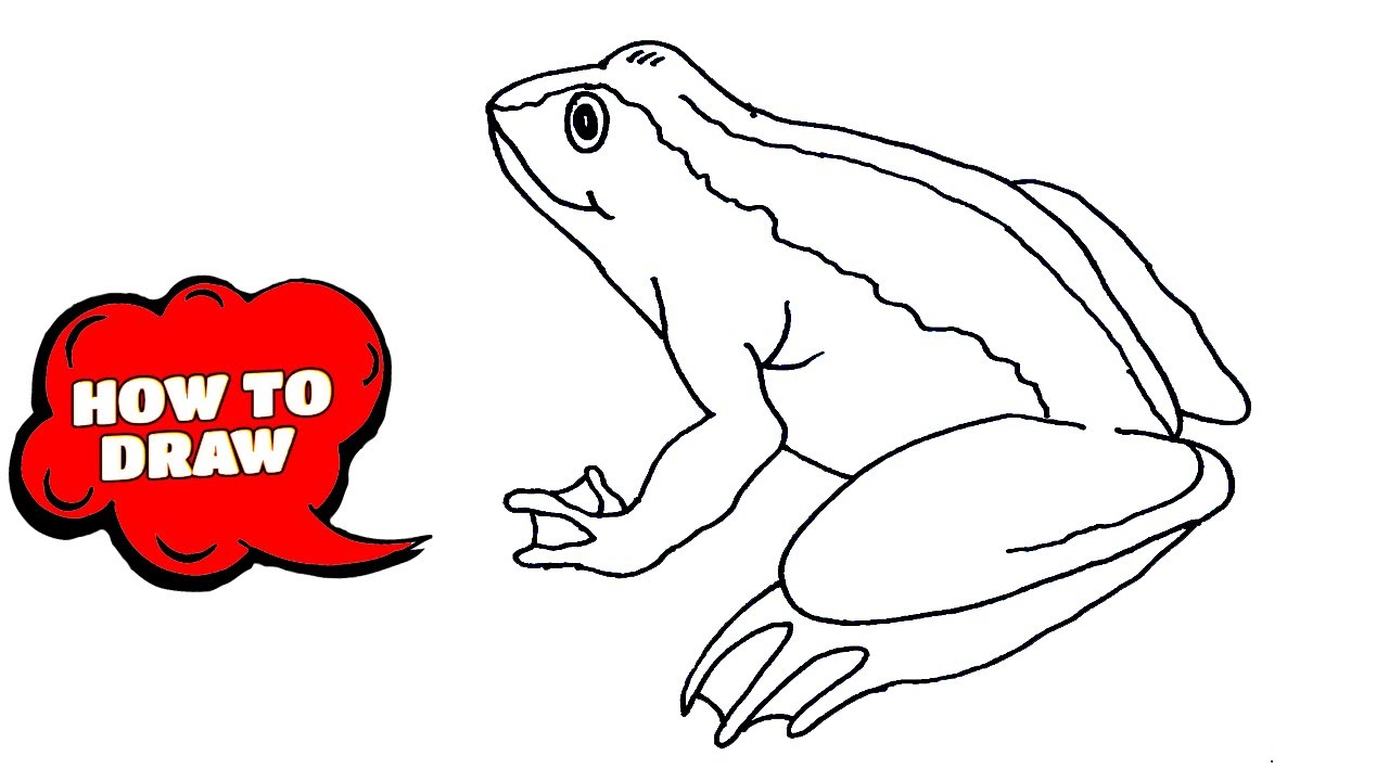 How to Draw Frog step by step for beginners slow and easy | Super ...