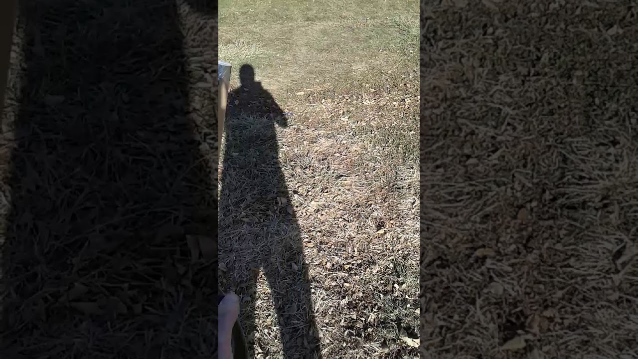 November 19, 2019 - YouTube