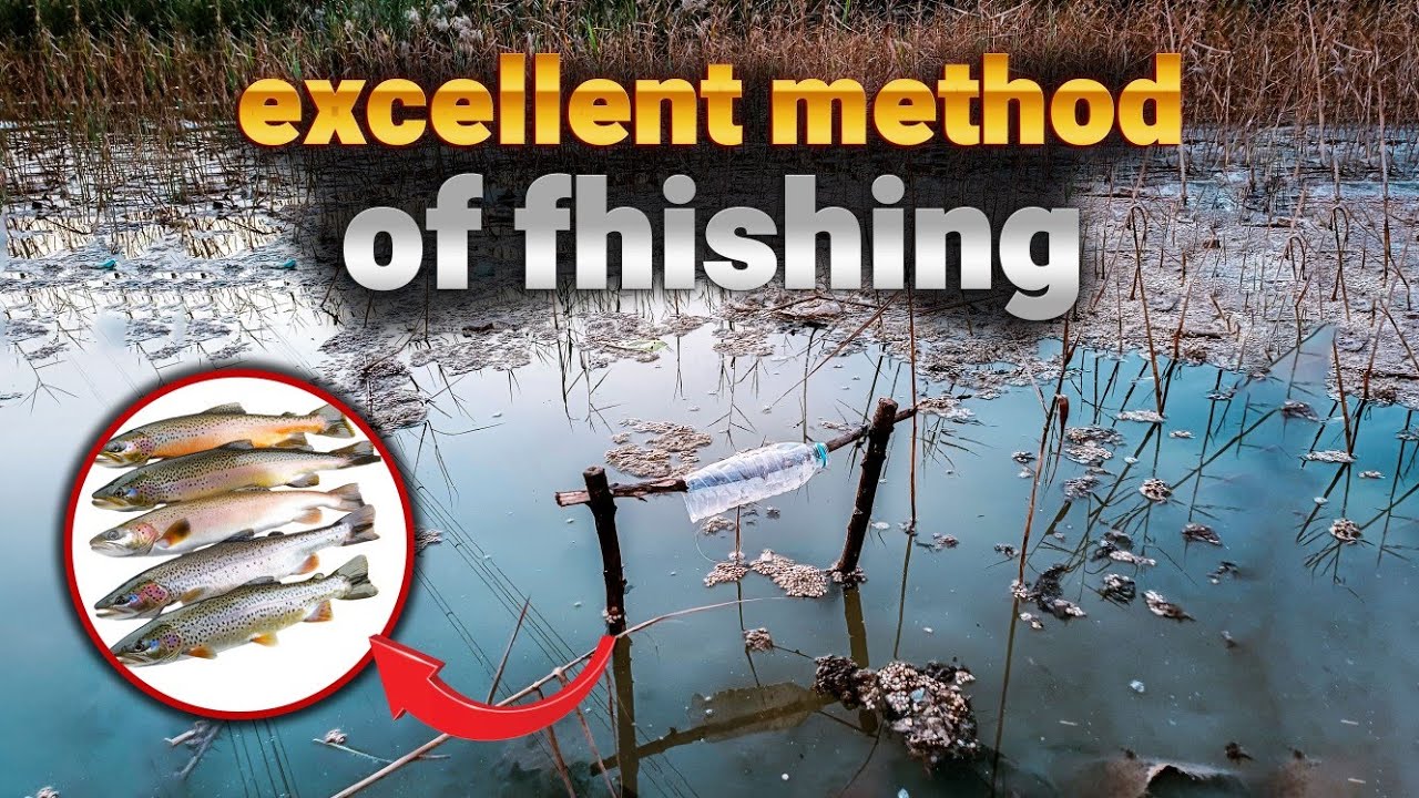 The best way to fish for everyone - YouTube