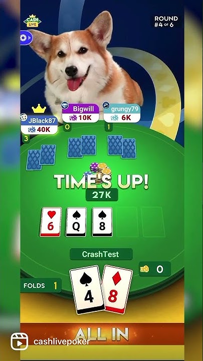 Toby the Corgi Hosts Cash Live - YouTube