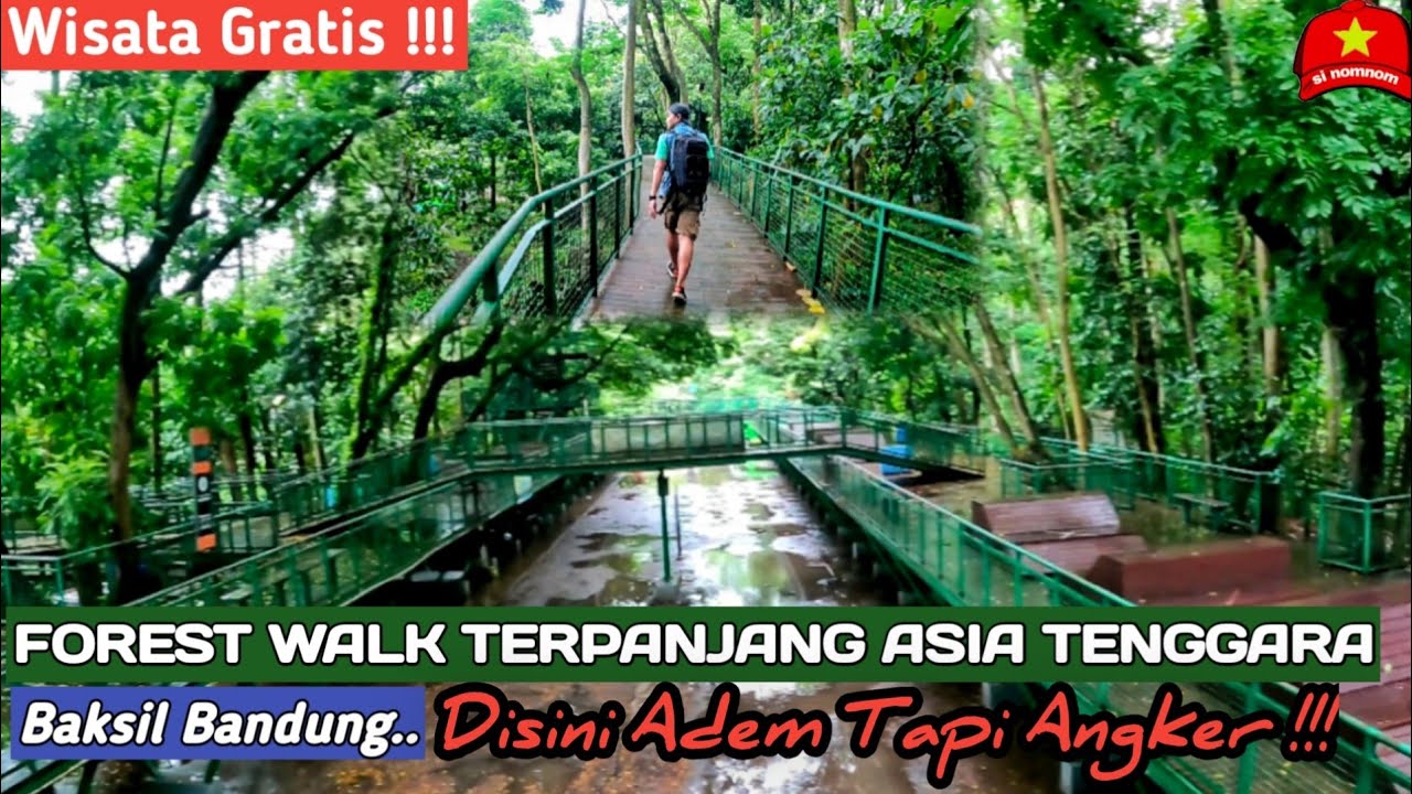 Forest Walk Terpanjang se Asia Tenggara Udah Buka Lagi | Babakan ...