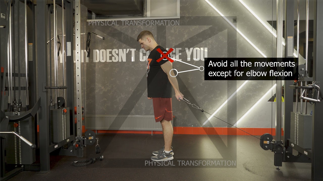 Bayesian Cable Curl stretched out position ( Сгибание предплечья стоя ...