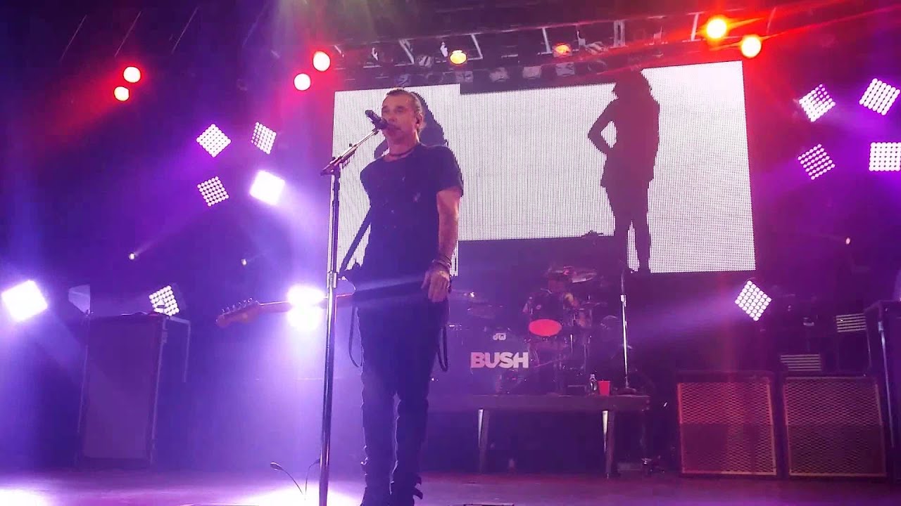 BUSH Everything Zen Myth 2/10/15 - YouTube