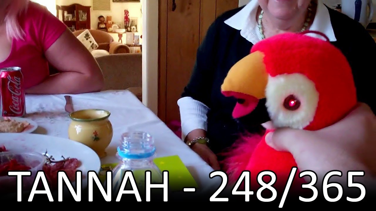 EVIL DEMON PARROT! [5.9.11 - DAY 248] - YouTube