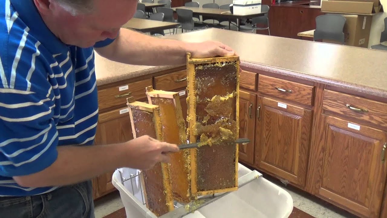 Honey Uncapping - YouTube