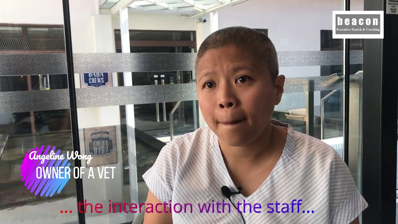 Testimony from Angeline Wong, Entreprenuer and Vet - YouTube