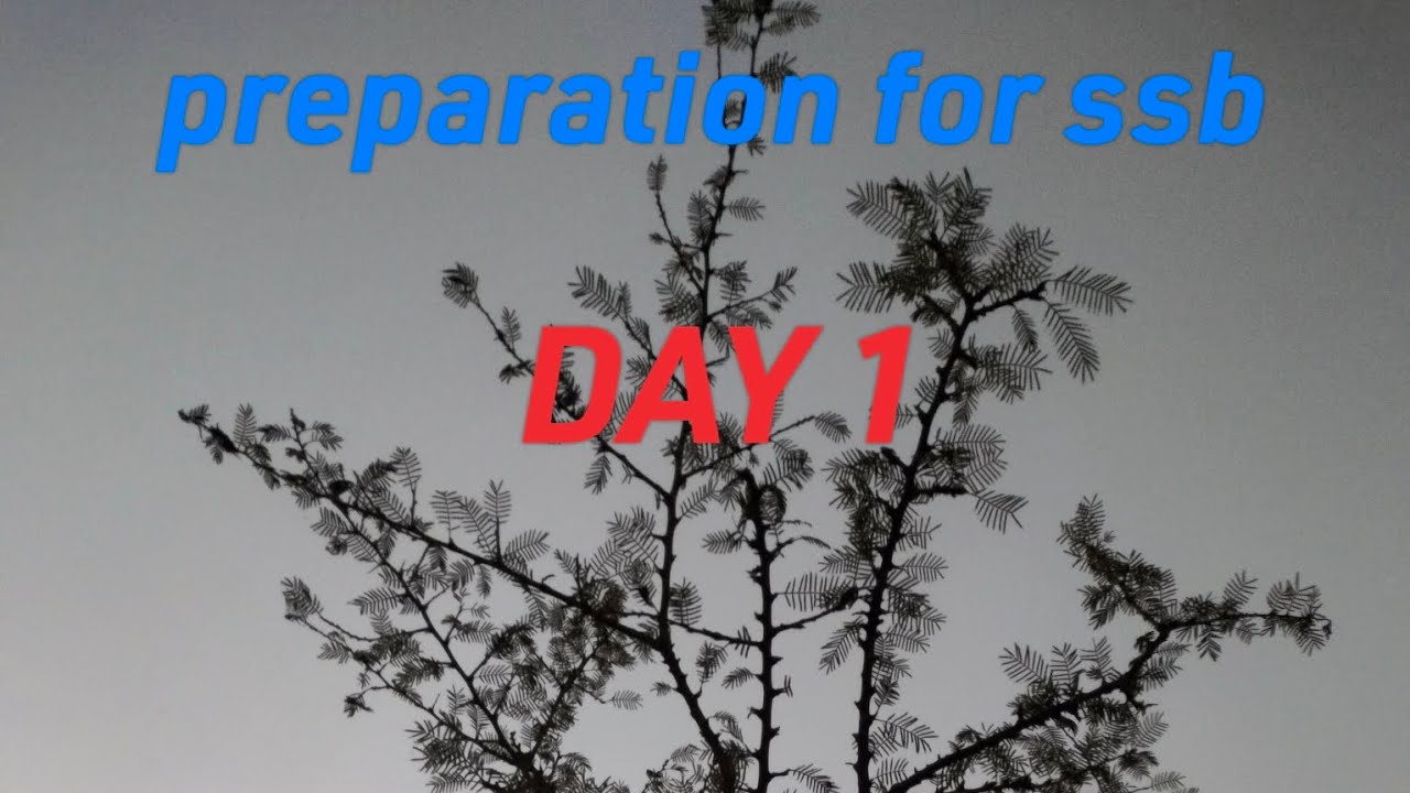 Preparation of ssb day 1 - YouTube