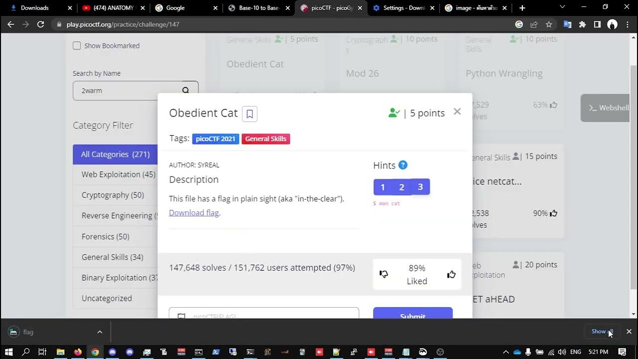 picoCTF Obedient Cat TH - YouTube