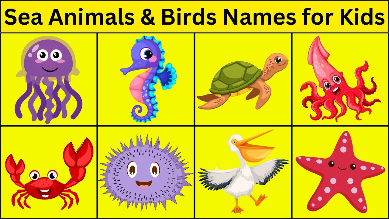 Kids vocabulary - Sea Animals and Sea Birds- Learn English for kids ...