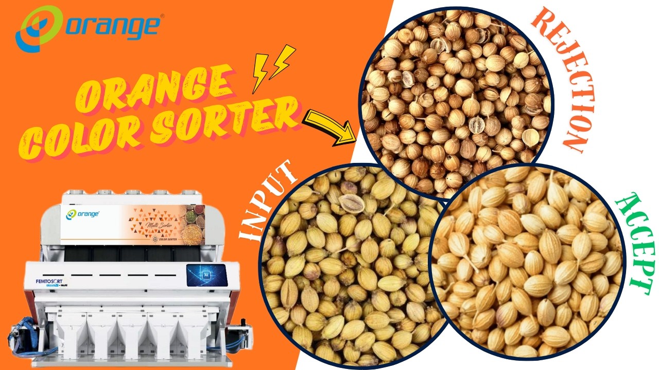Coriander AI Color Sorting Machine | Orange Sorting Machines India Pvt ...