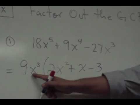 Solving Polynomials with Exponents - YouTube