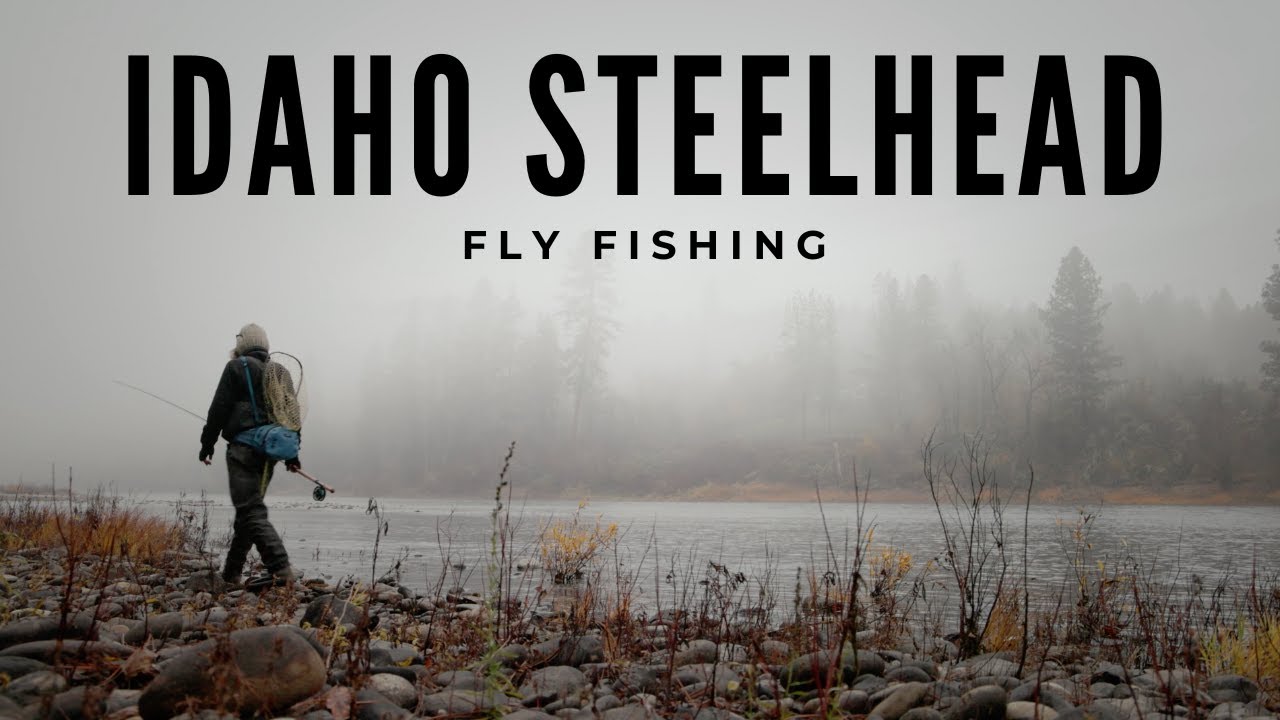 Fly Fishing Van Trip for Fall Steelhead in Idaho - YouTube