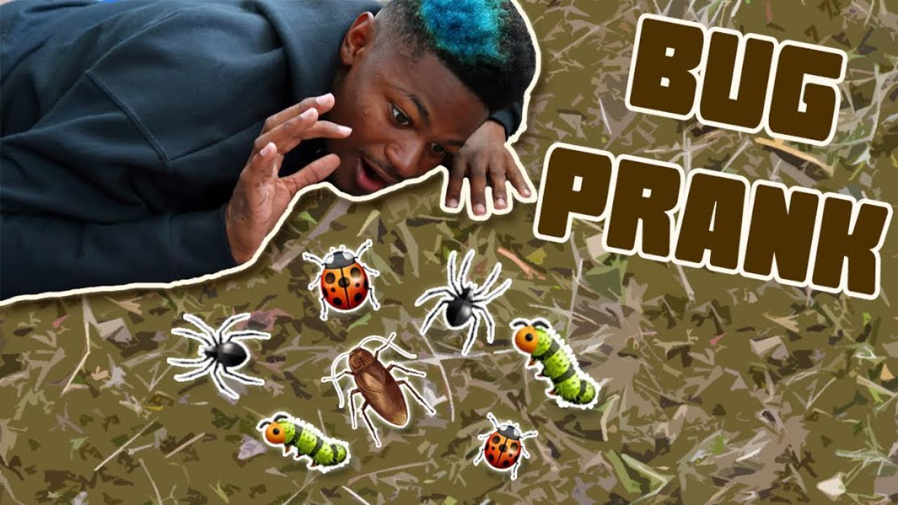 FAKE BUG PRANK | Prank Wars #2🐛 - YouTube