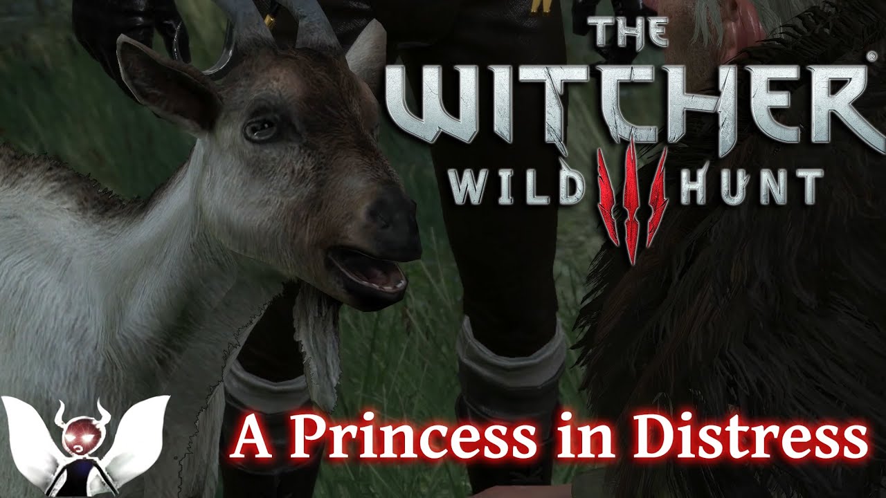 The Witcher 3: Wild Hunt - Family Matters - A Princess in Distress (The ...