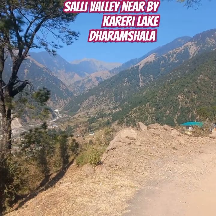 salli valley near by kareri lake Dharamshala,kangra #travel #nature # ...