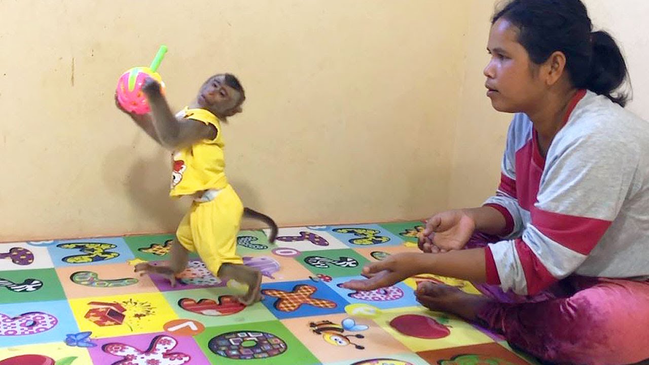 Hilarious Jason Surprising Playful With New Rattle, So Cute Jason ...