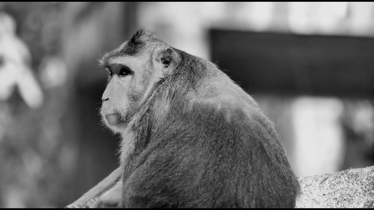 💔 Goodbye Violet 💔 Sunset †06 July 2024 - YouTube